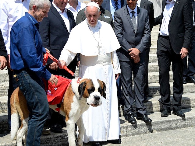 Pope’s Insane “Rescue Dog Indulgence” – Orthodox Christian Theology